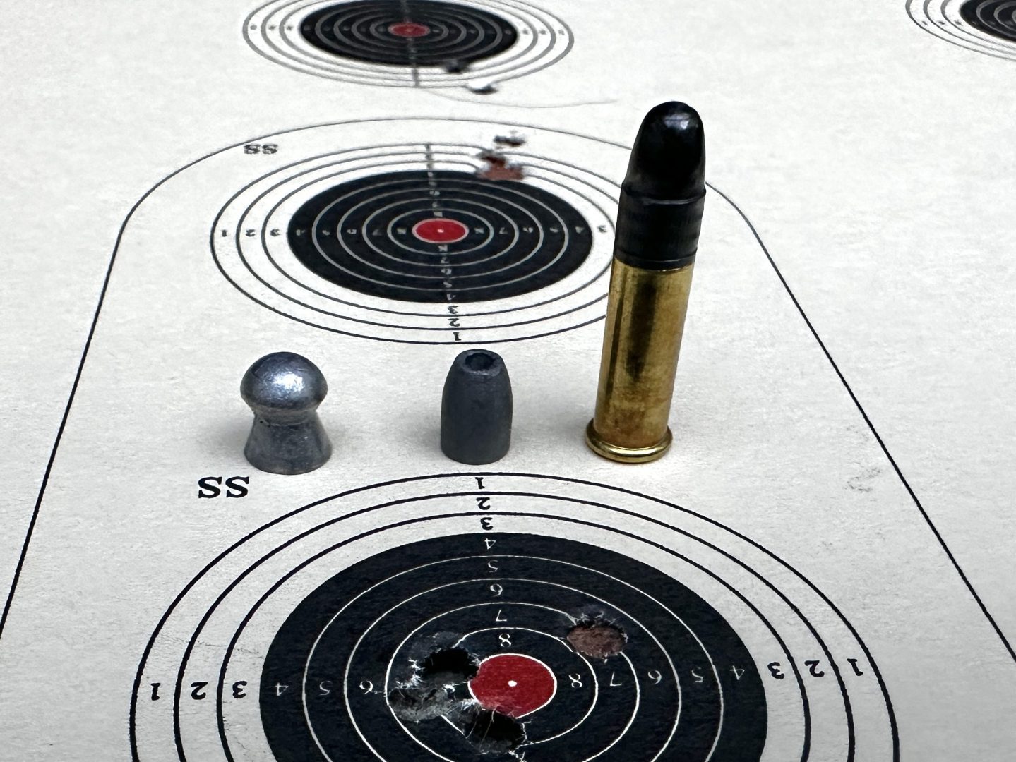 .22 LRs vs Air Rifles: What's Better for Small Game Hunting and ...