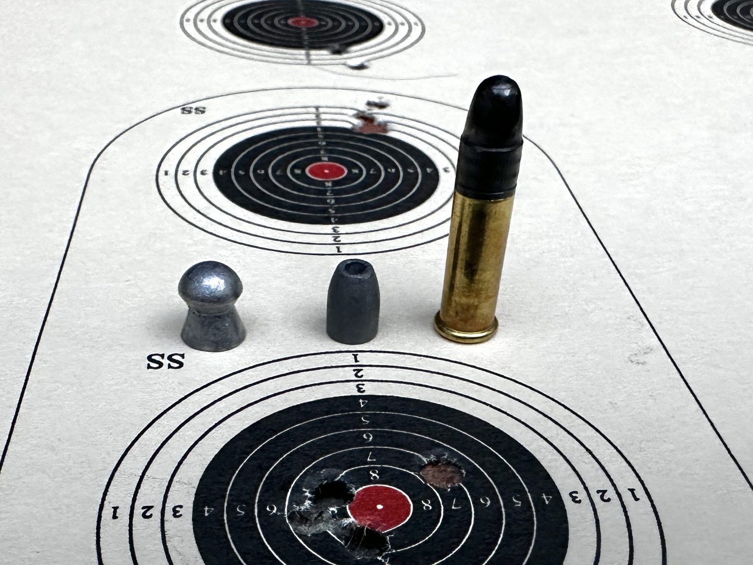 .22 LRs vs Air Rifles: What's Better for Small Game Hunting and ...