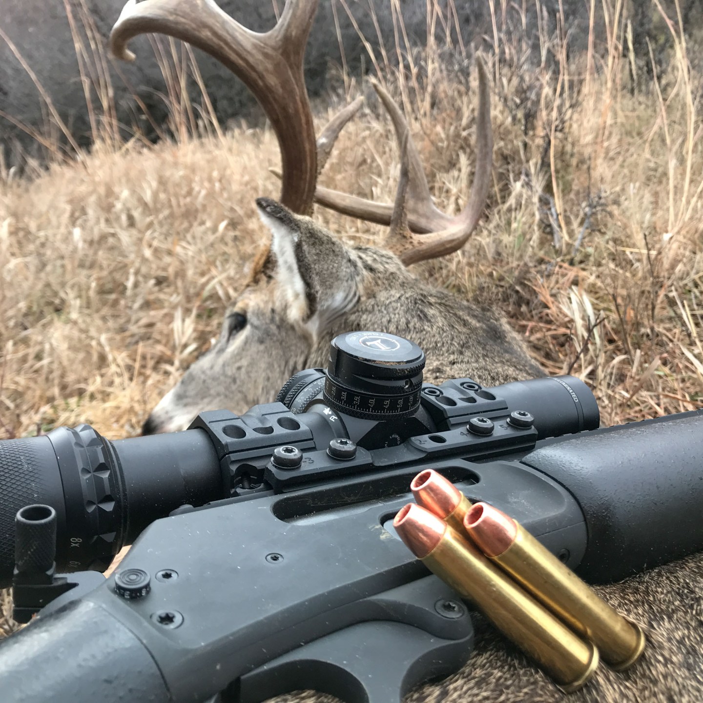 .45-70 Cartridge Overview: The Immortal Big Game Round | Outdoor Life