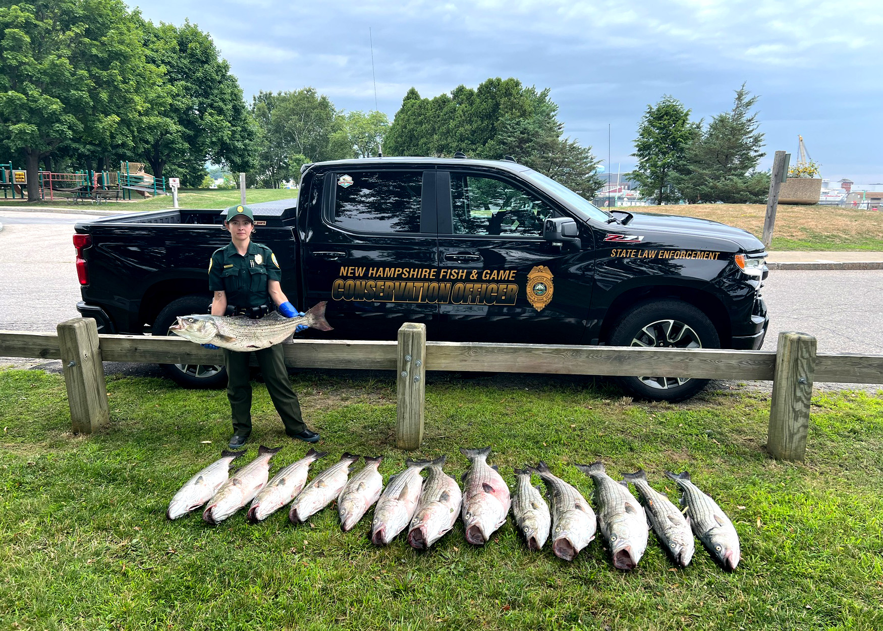 Poacher 'Caught Red-Handed' with 14 Oversized Striped Bass | Outdoor Life