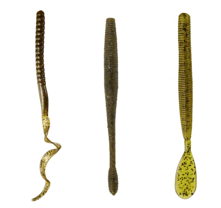 How to Fish the Carolina Rig: A Complete Guide | Outdoor Life