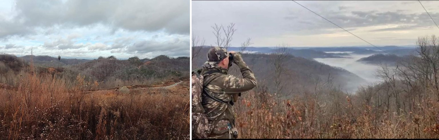 Elk Hunting in Kentucky on Public Land | Outdoor Life