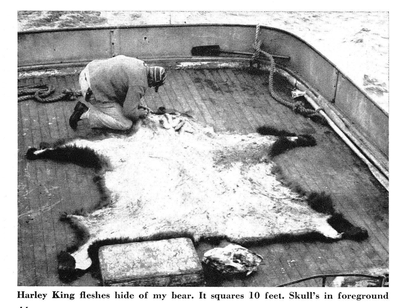 Fred Bear’s Wildest Hunt: The Day He Faced a World‑Record Brown Bear at ...
