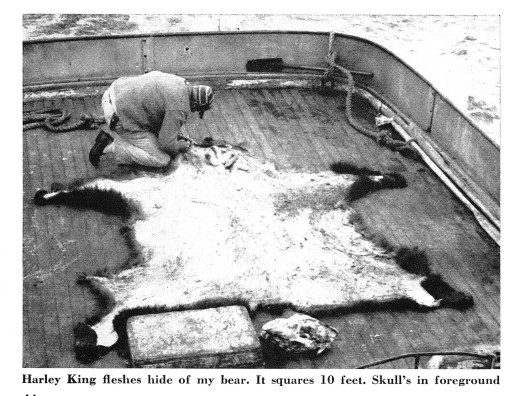 Fred Bear’s Wildest Hunt: The Day He Faced a World‑Record Brown Bear at ...
