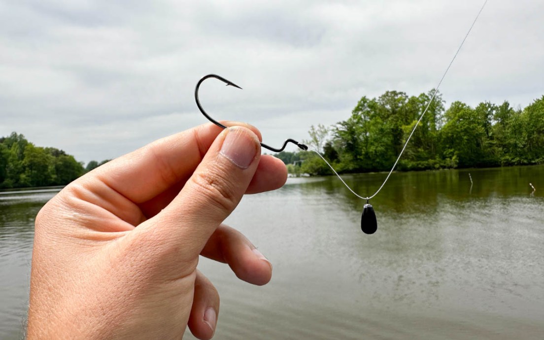 How to Fish a Free Rig: A Complete Guide