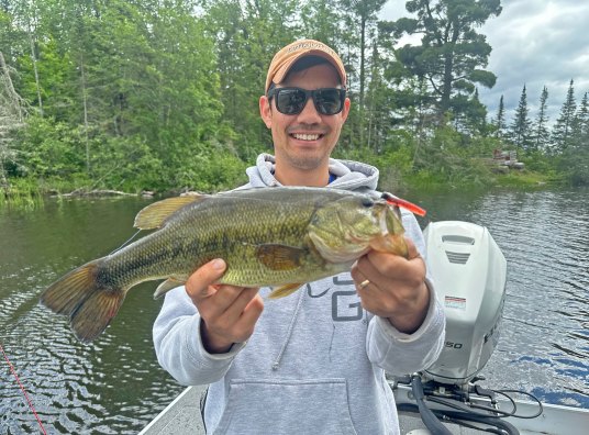 Micro Ned Rigs: The Ultimate Bait for Targeting Bluegills and Bass at ...