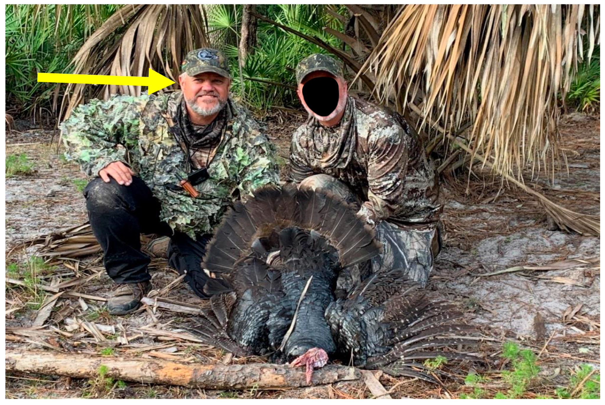 Florida Guides Passed Off Pen-Raised Turkeys as Wild Osceolas to ...
