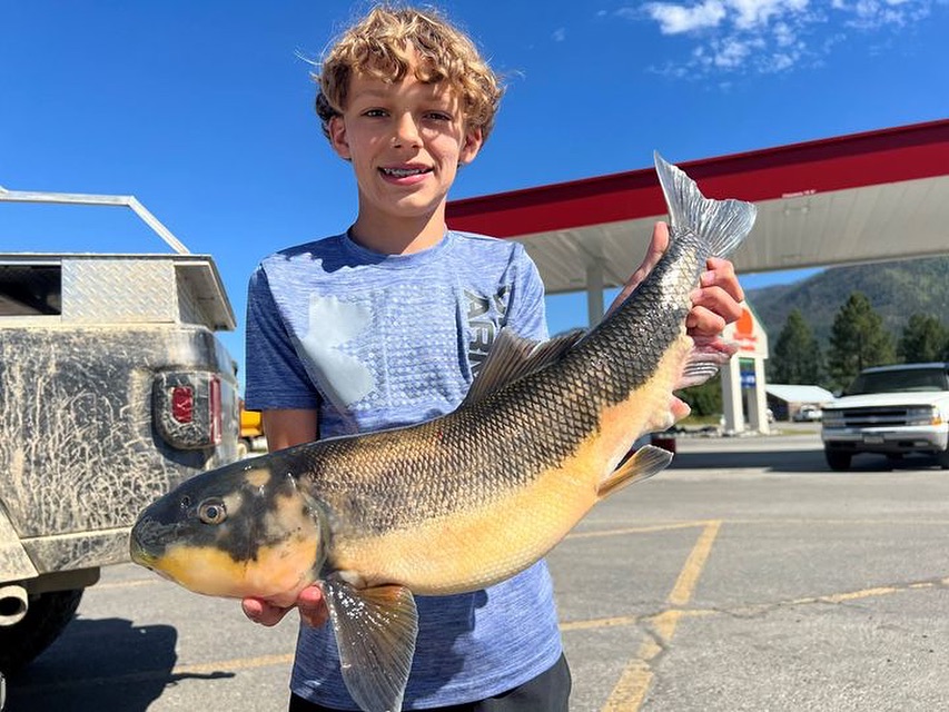 Video: ‘Bro I'm in Disbelief!’ 12-Year-Old Catches the Montana Record ...