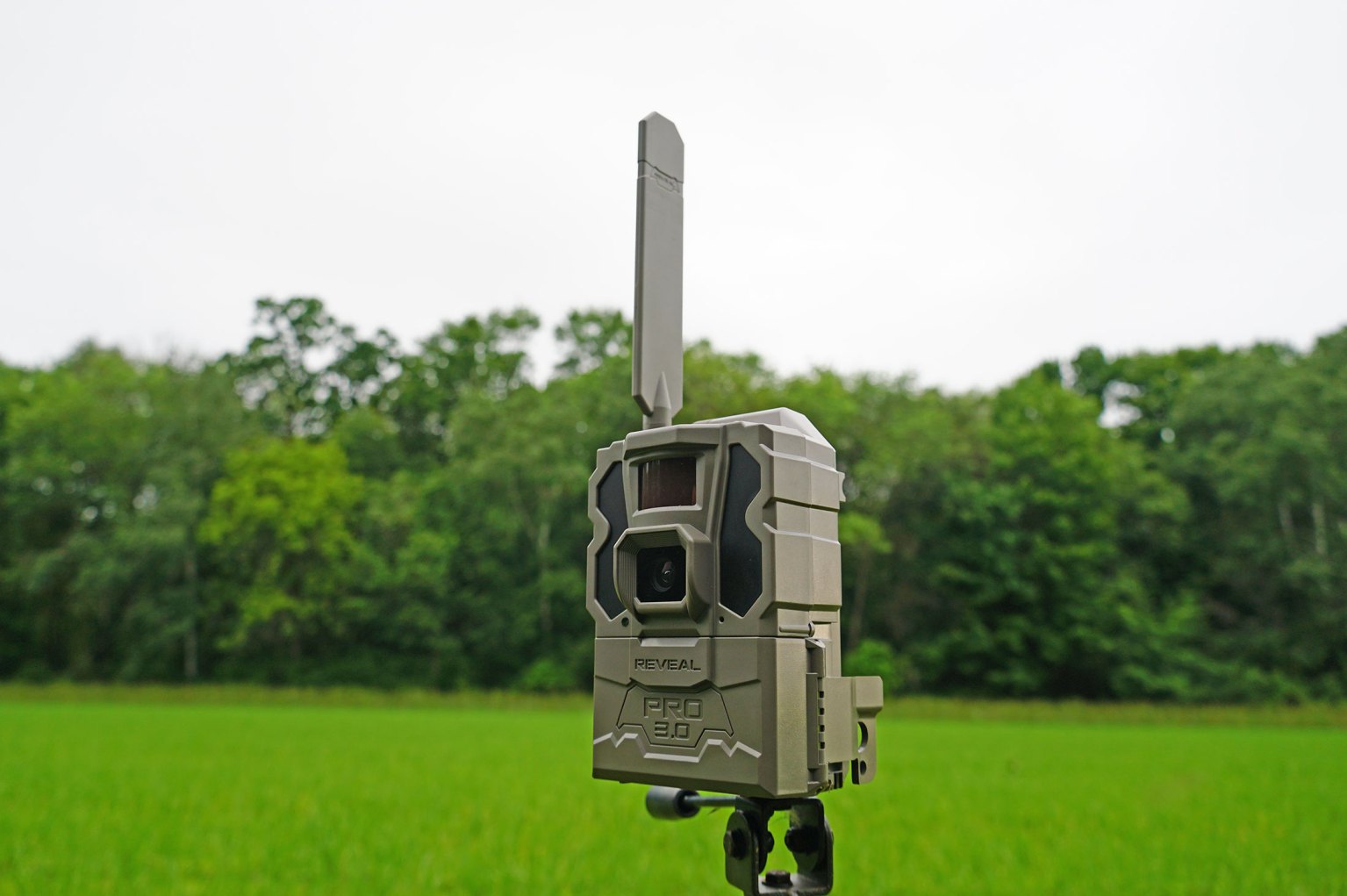 Tactacam Reveal Pro 3.0: Field Testing One of the Hottest New Trail ...