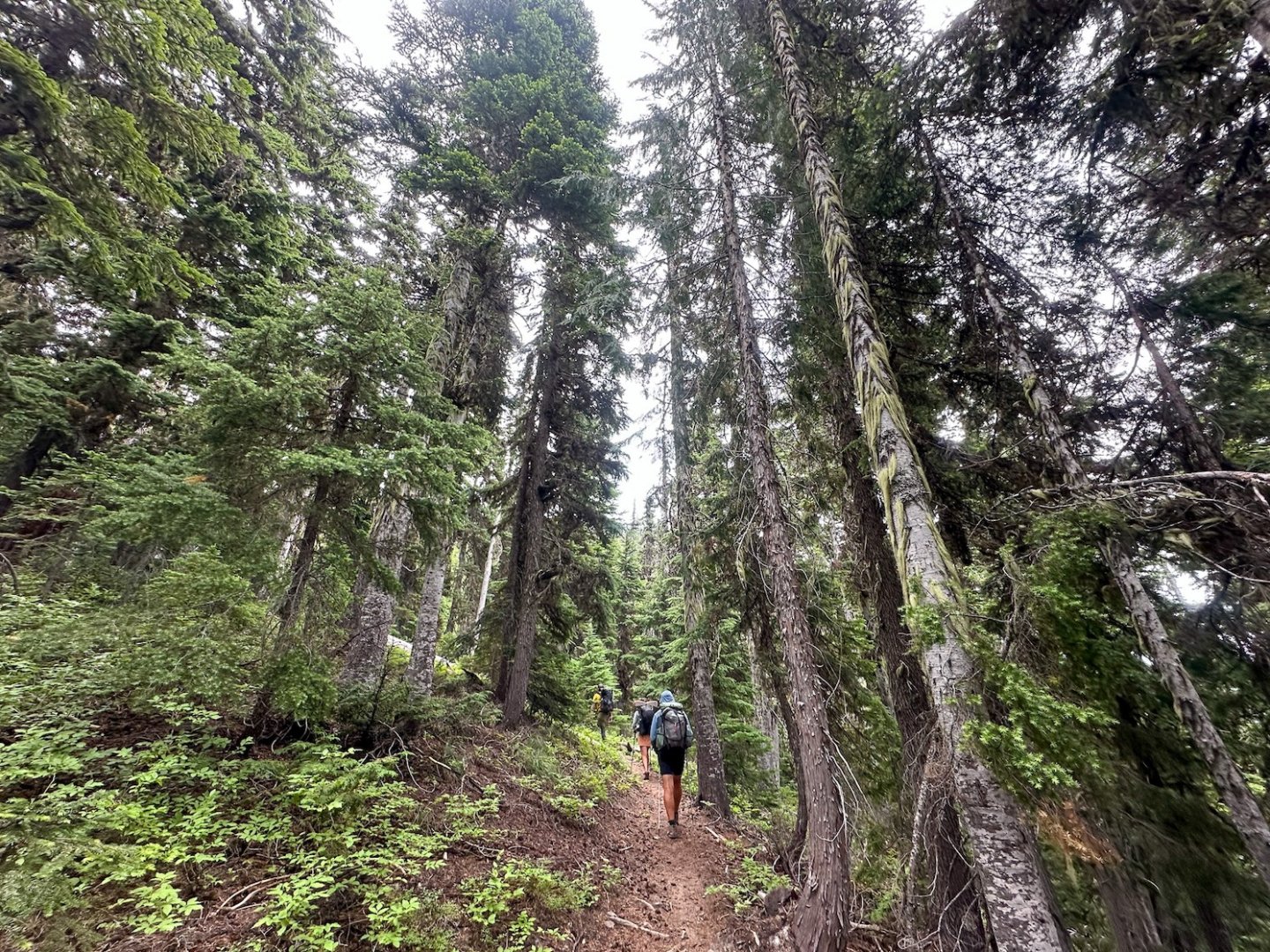 Traditional Backpacking Is Dead: Ultralight Gear is the Future