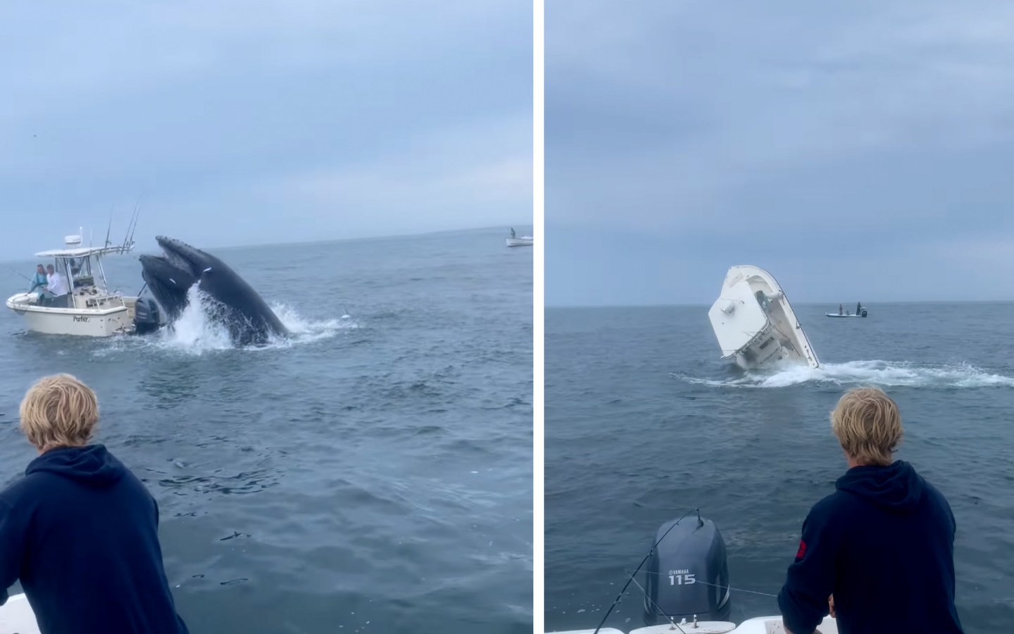 Watch: Whale Capsizes Boat, Launches Fishermen into the Ocean | Outdoor ...