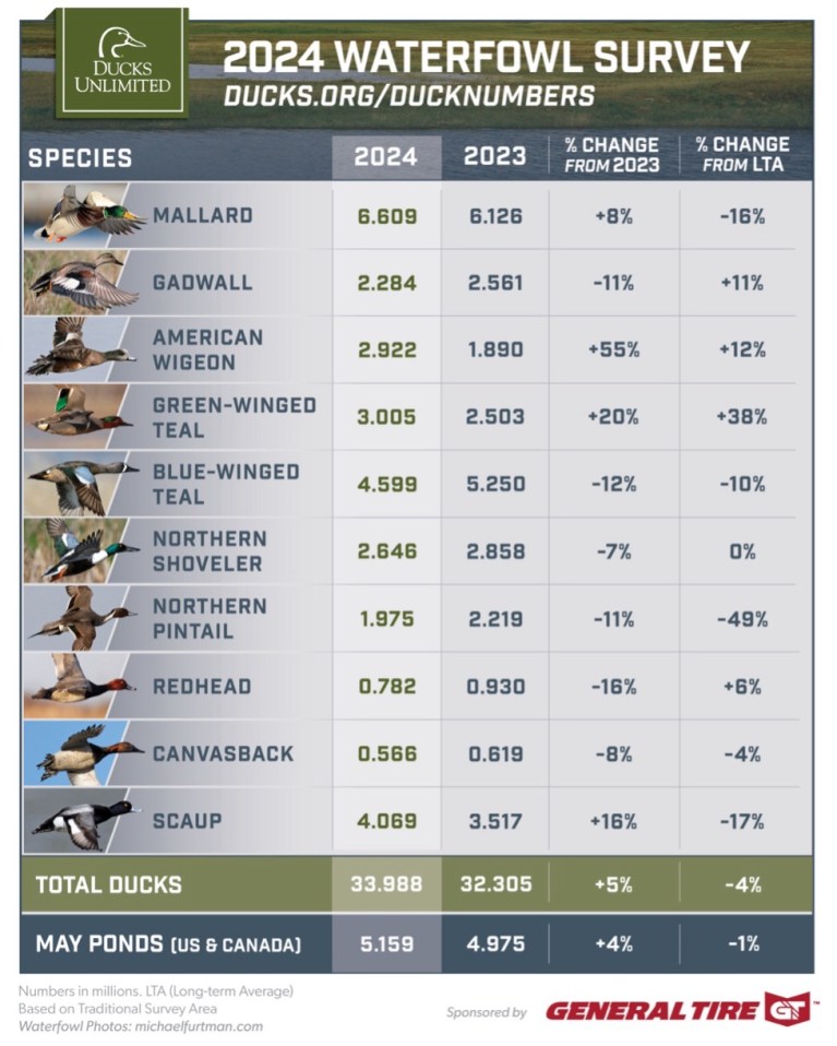 Annual USFWS Duck Survey Counts More Mallards Than Last Year