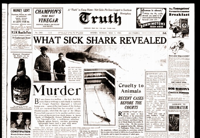The Weirdest Things Ever Found Inside a Shark’s Stomach | Outdoor Life
