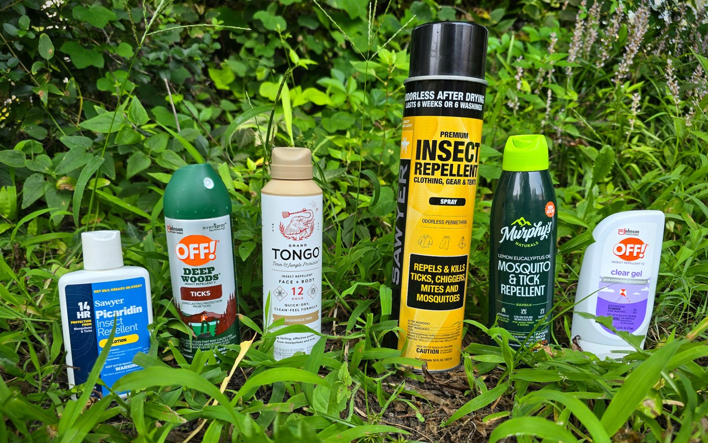 Best Tick Repellents of 2025 | Outdoor Life
