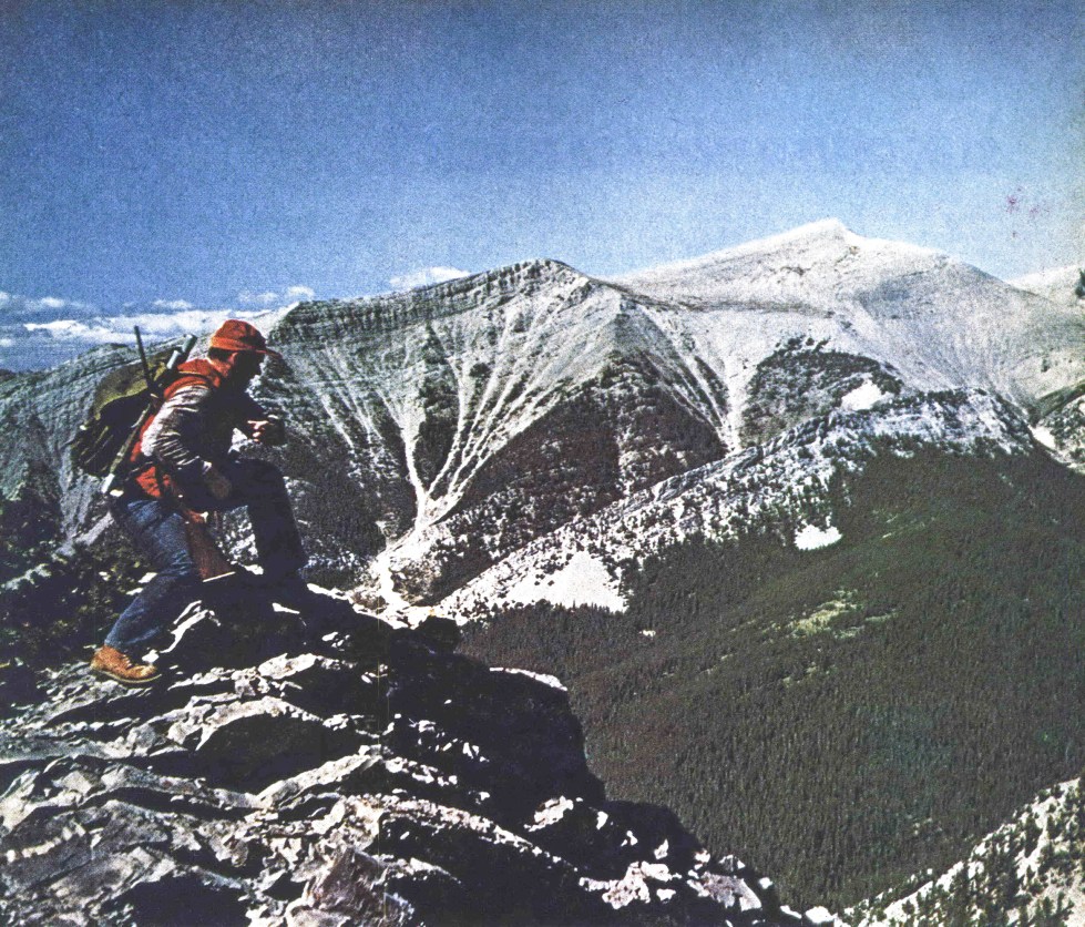 McRae in Montana: Two Botched Shots and One Chance at Redemption