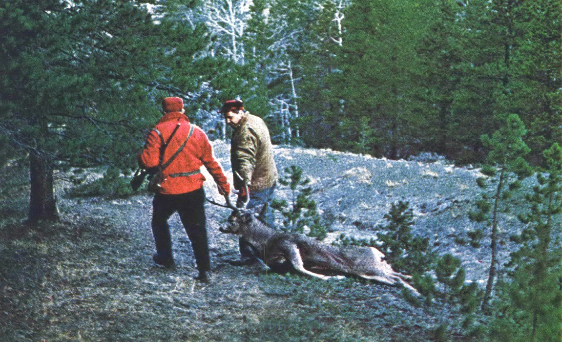 McRae in Montana: Two Botched Shots and One Chance at Redemption