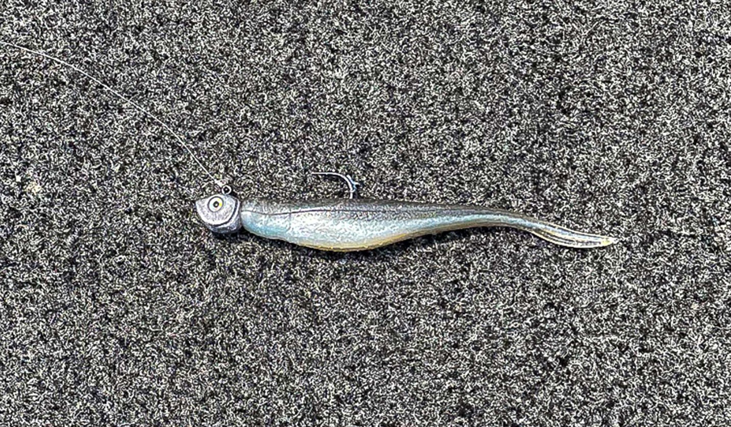 Strolling for Bass: A Complete Guide to This FFS Technique