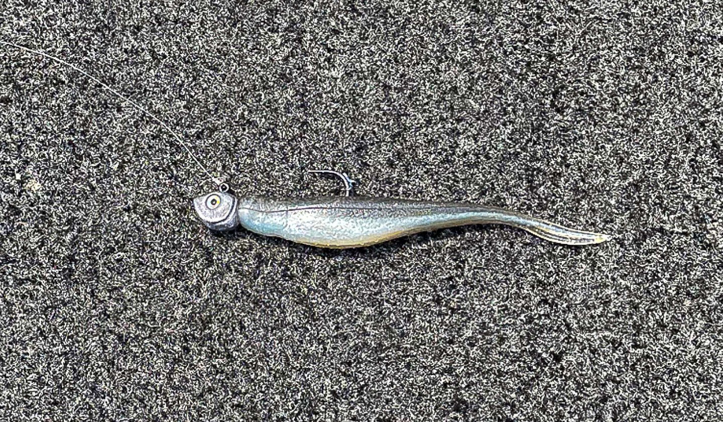 Strolling for Bass: A Complete Guide to This FFS Technique