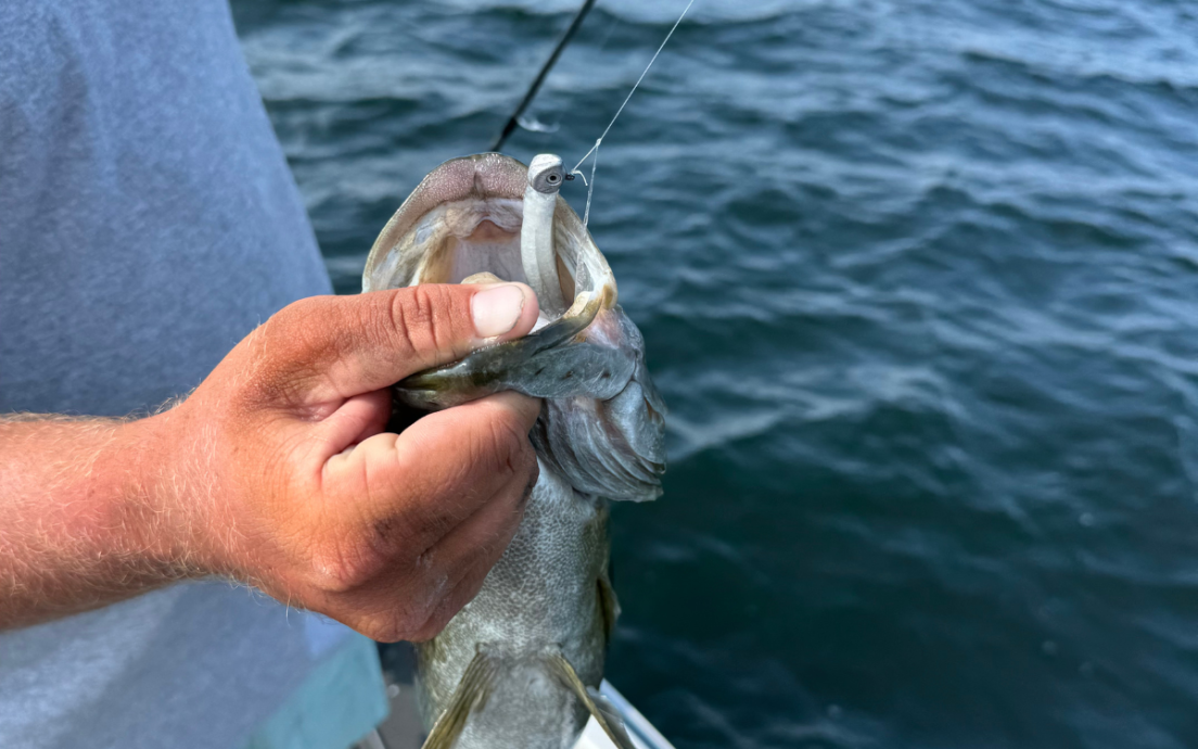 Strolling for Bass: A Complete Guide to This FFS Technique