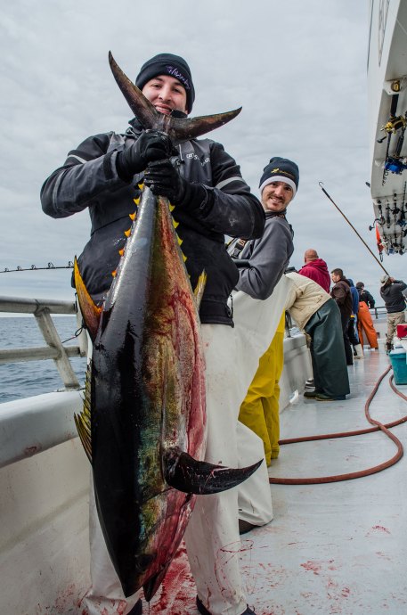 Podcast: The Cheapest Way to Catch Tuna | Outdoor Life