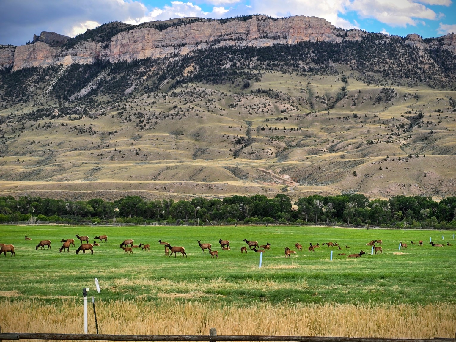 Wyoming Ranchers Are Getting Paid to Let Elk Graze Their Land | Outdoor ...