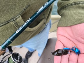 The Best Walleye Rods of 2025, Tested and Reviewed | Outdoor Life