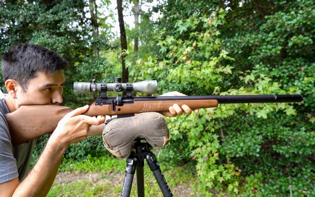 Air Rifles for Small Game Hunting and Pest Control, Accuracy Tested ...