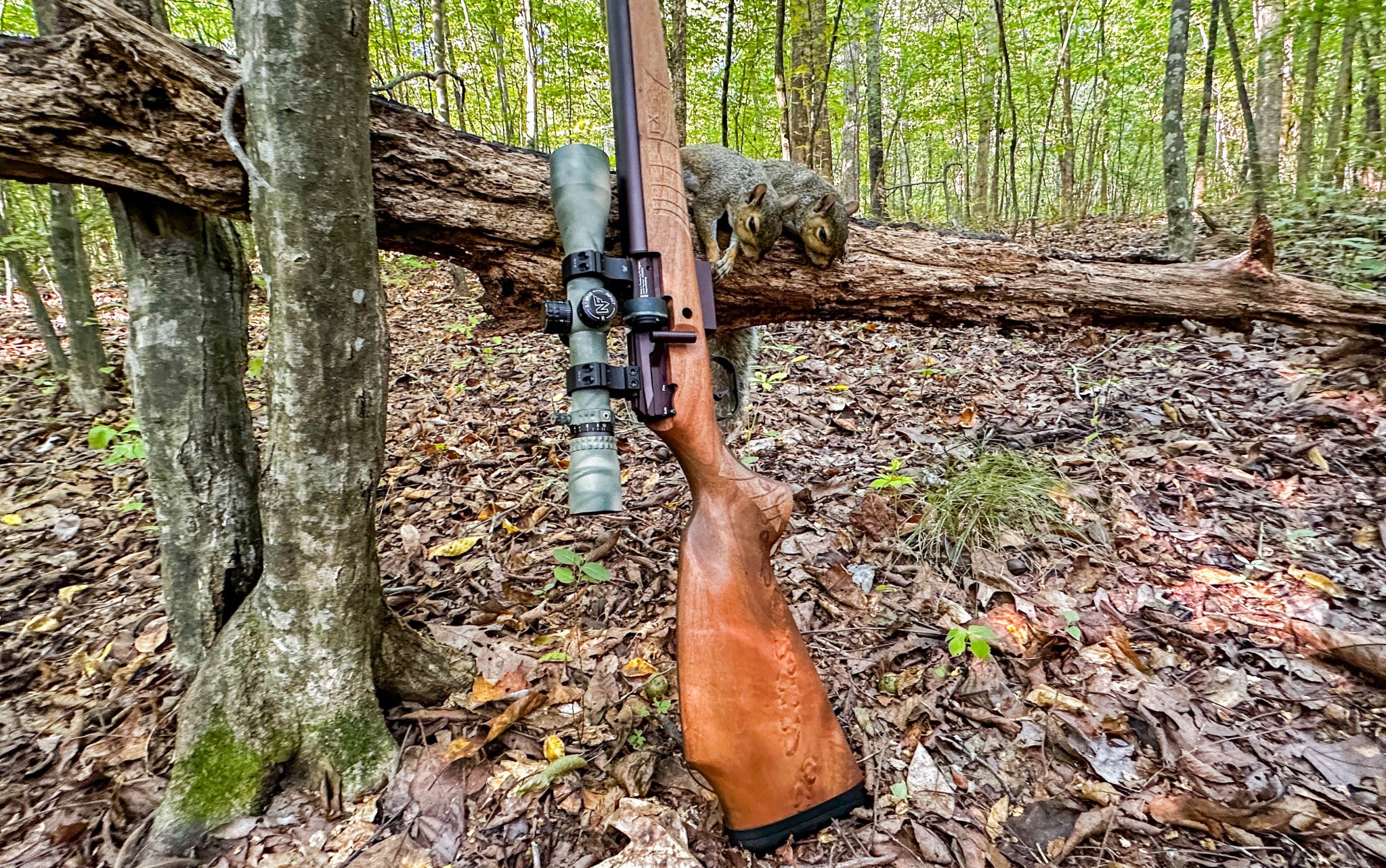 FX DRS Classic Review: The Best Looking and Most Ergonomic Air Rifle on ...
