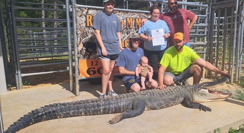 Mississippi Alligator Breaks 2 State Records; Could Be New World Record ...