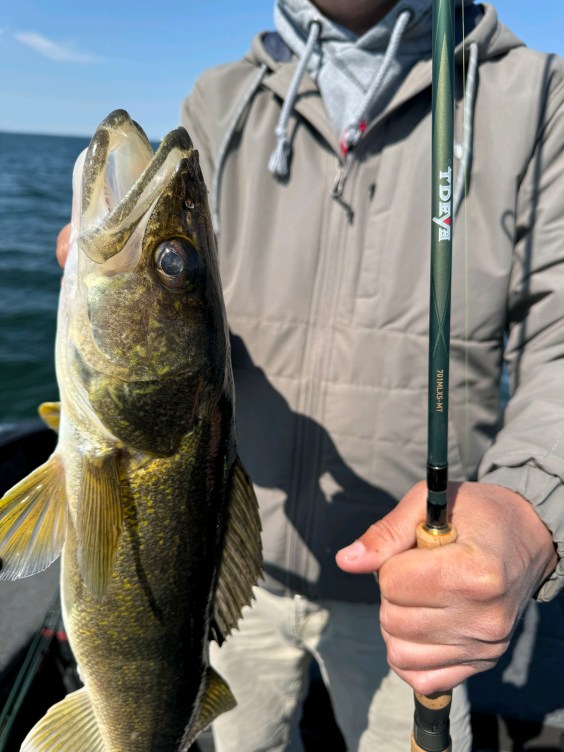 The Best Walleye Rods of 2026, Tested and Reviewed | Outdoor Life