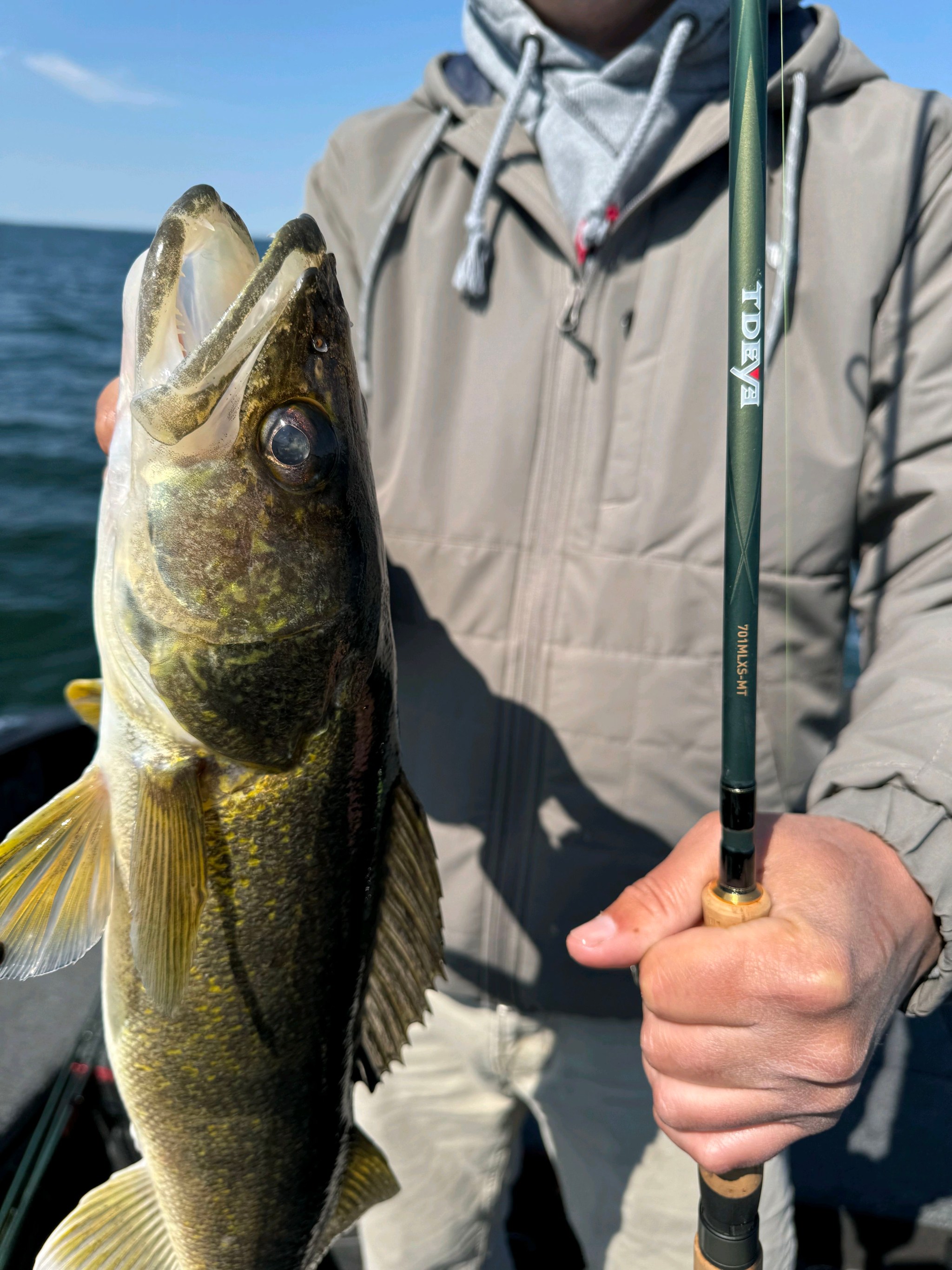 The Best Walleye Rods of 2025, Tested and Reviewed | Outdoor Life