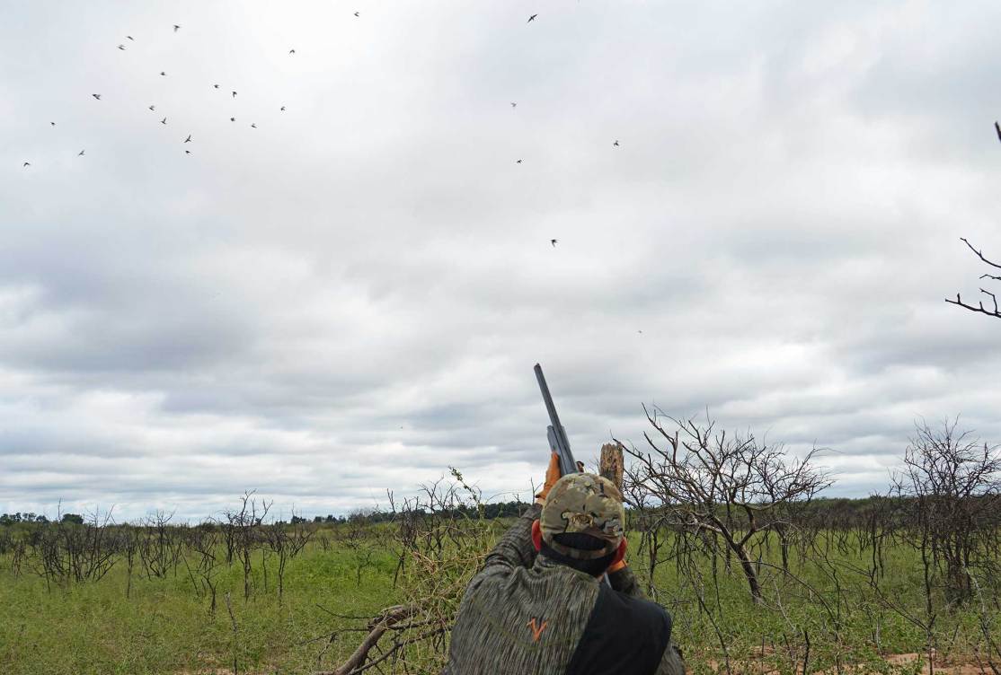 Upland Bird Hunting | Outdoor Life