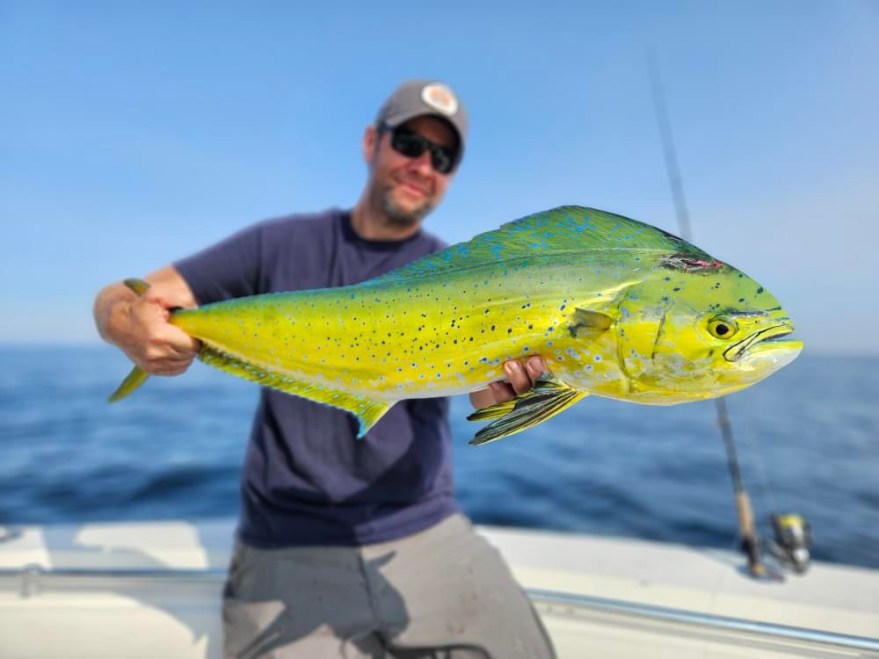 How to Catch Mahi Mahi Inshore | Outdoor Life
