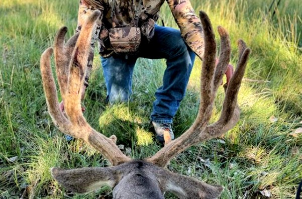 Velvet Mule Deer Buck from Colorado Could Be a New Archery World Record ...