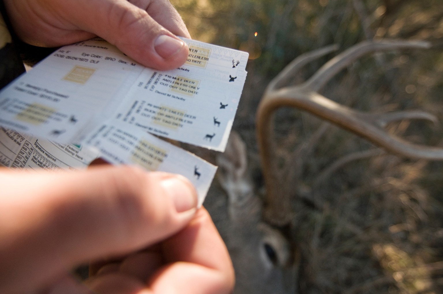 How Much Should a Deer License Cost? | Outdoor Life