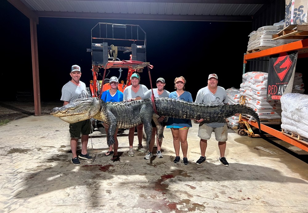 This Opening-Day Gator Is One of the Biggest Ever Killed in Mississippi ...