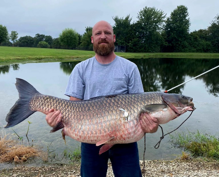 Record Carp Is the Biggest Freshwater Fish Ever Caught in Connecticut