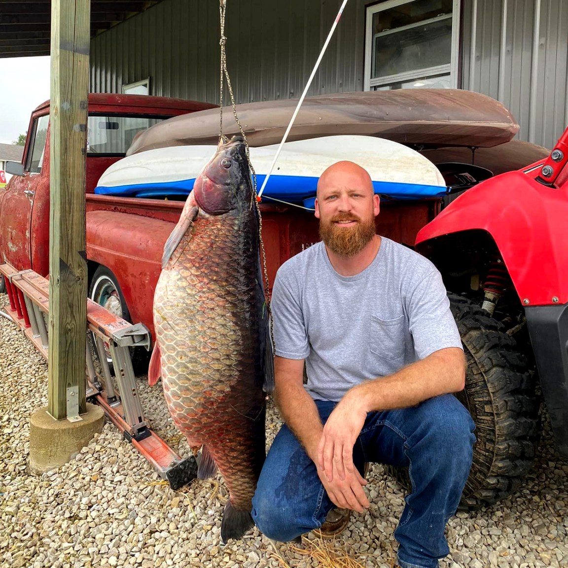 Missouri Bowfisherman Arrows State-Record Grass Carp After Losing It ...
