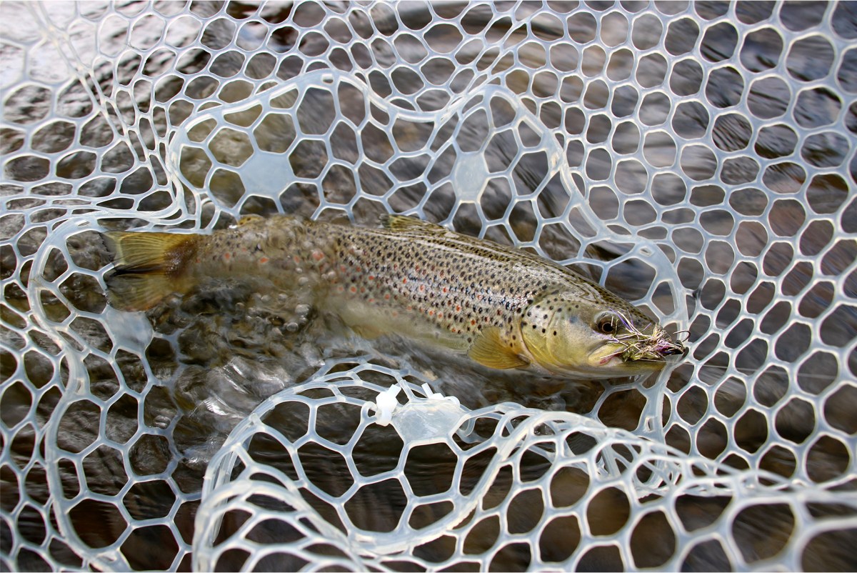 Diaries from The One Fly, the Strangest Fishing Contest in America ...