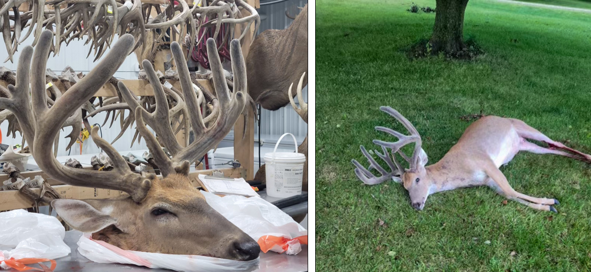 Someone Poached a 214-Inch Buck and a New Deputy Botched the Investigation