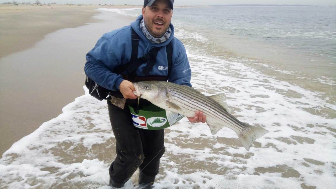 Quick Strike Podcast: Catching Striped Bass on the Fly, from Shore Is ...