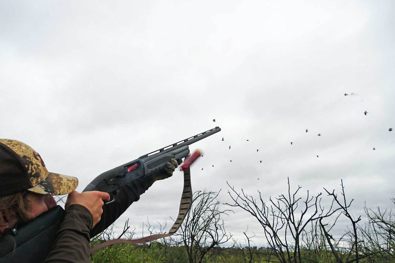 Argentina Dove Hunting: Wingshooting Lessons from 1,000-Round Days
