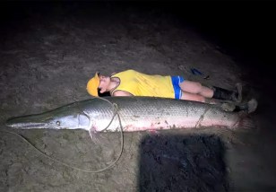 Nearly 300-Pound Alligator Gar Should Break World Record | Outdoor Life