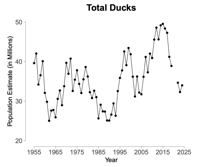 Where Are All the Ducks? | Outdoor Life