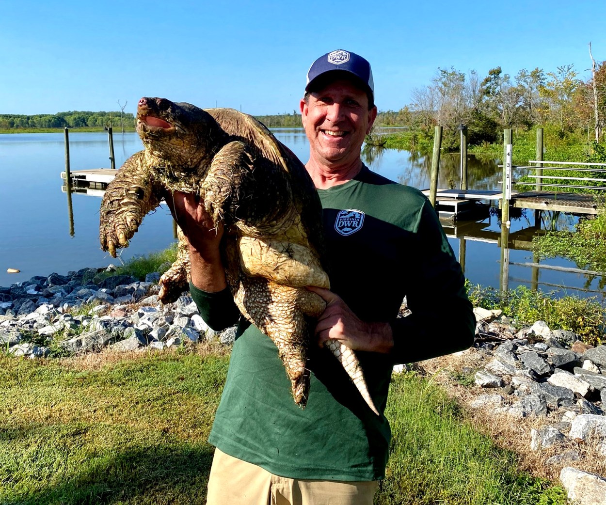 'Godzilla' Snapping Turtle Is So Huge Virginia Officials Established a ...
