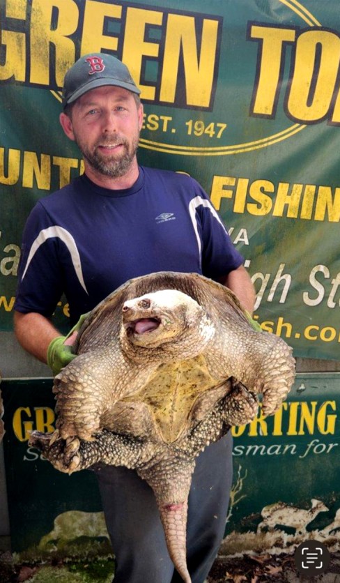 'Godzilla' Snapping Turtle Is So Huge Virginia Officials Established a ...