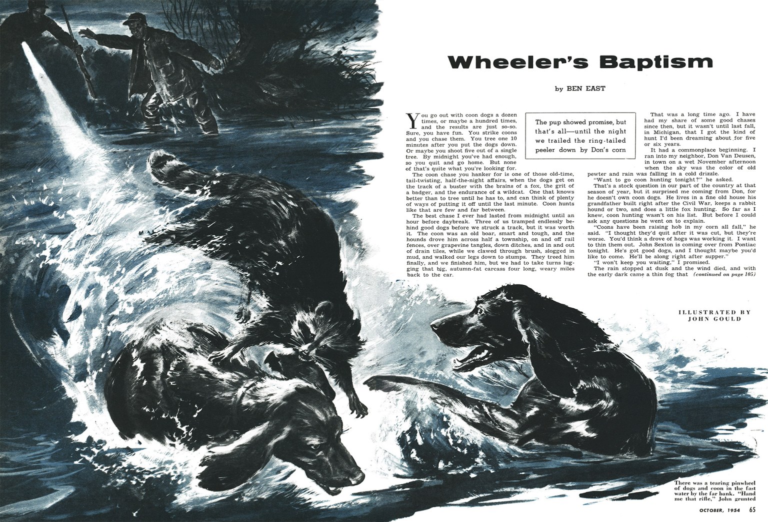 Wheeler's Baptism: A Hound Dog's First Real Raccoon Hunt | Outdoor Life