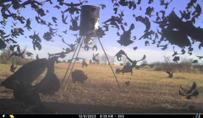 19 Eerie Trail Camera Photos You Can't Unsee | Outdoor Life