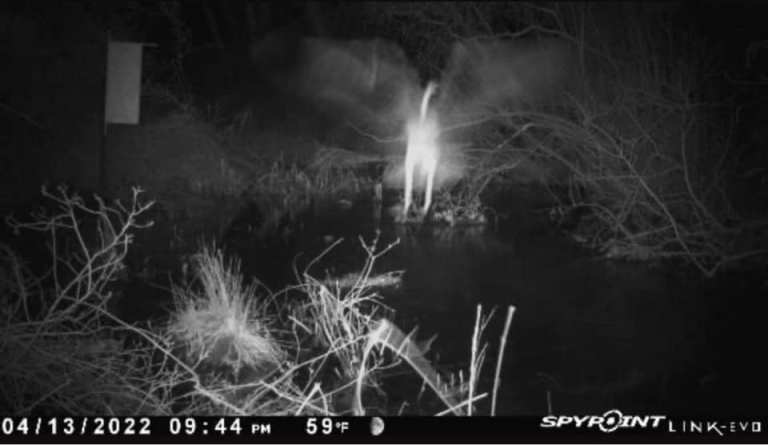 19 Eerie Trail Camera Photos You Can't Unsee | Outdoor Life