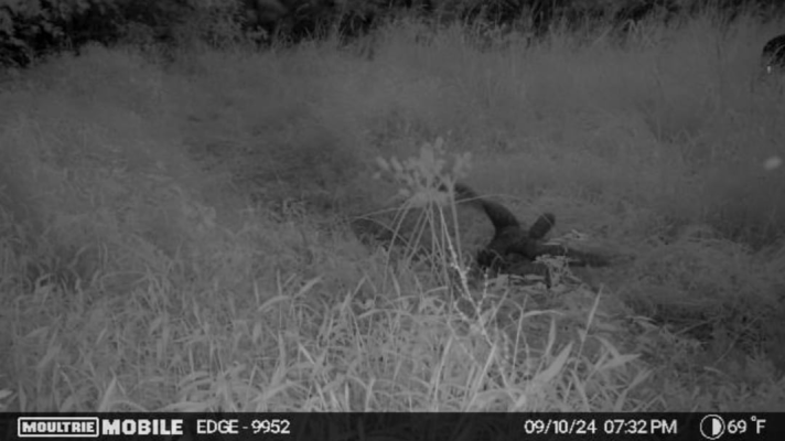 18 Spooky Trail Camera Photos You Have to See | Outdoor Life